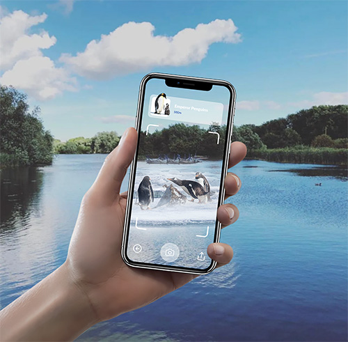 Longholme | MagicHatch